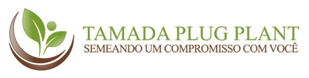 Tamada Plug Plant – Semeando um Compromisso com Você